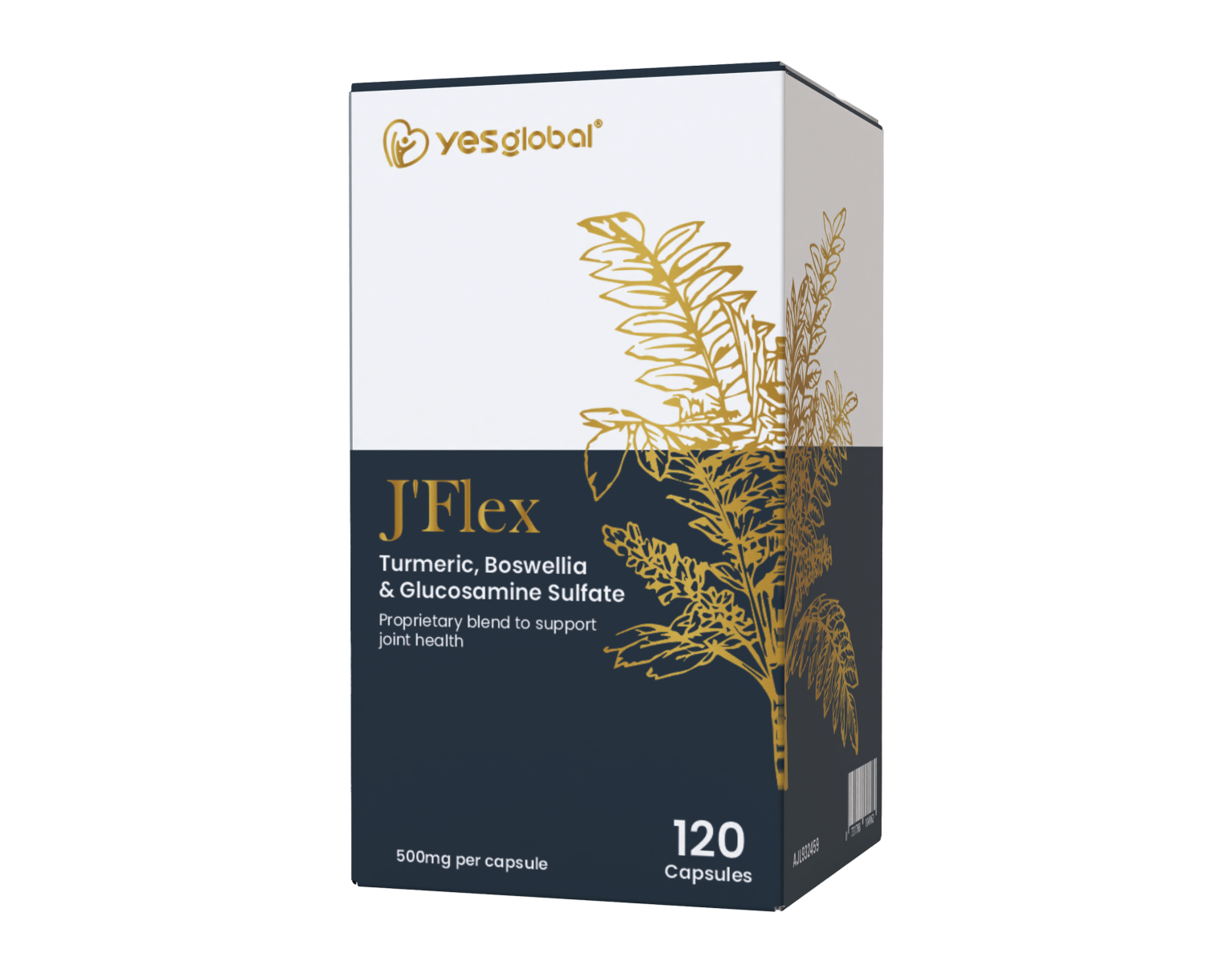 Our Products – Yes Global