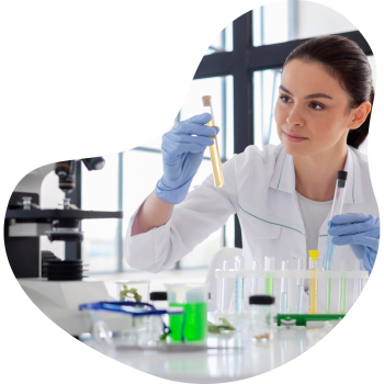 Yes Global – Yes We Can!